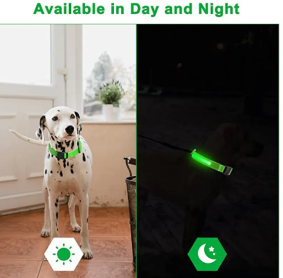 LED Collar – Ralph’s Treats